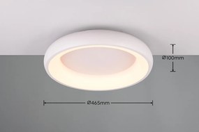 Bílé LED stmívatelné stropní svítidlo Cardona – Trio