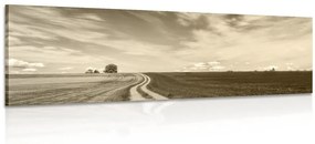 Obraz čarokrásná krajina v sépiové provedení - 150x50 cm