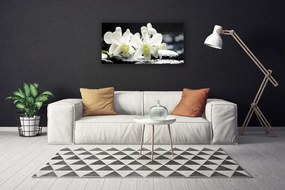Obraz na plátně Kameny Květiny Orchidej 140x70 cm