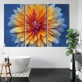Vícedílný obraz Chryzantéma Květina Zblízka 3D Nedostatek Nedostatek Přírodní plátno 150x100