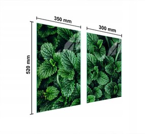 Ochranná Skleněná Deska Do Kuchyně 65x52 Melisa