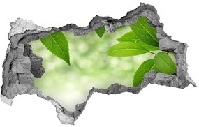 Wallmuralia Samolepící díra nálepka Zelené listí 95x73 cm