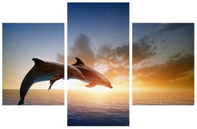 Obraz delfínů (90x60 cm)