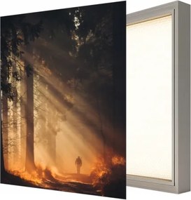 Podsvícený Obraz Setkání Na Stezce rámeček stříbrný Canvas Slim 30x40 Led