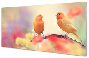 Obraz na skle barevný papoušek 100x50 cm