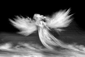 Samolepící tapeta černobílá podoba anděla v oblacích - 150x100 cm