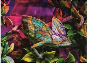 Ravensburger Puzzle: Chameleon / 500 dílků / od 12 let