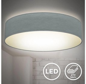 B.K. Licht | B.K. Licht 1393 - LED Stropní svítidlo LED/20W/230V šedá | P4977