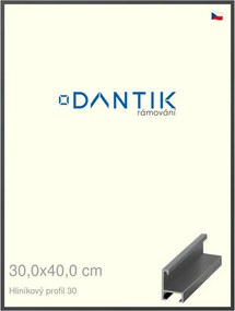 DANTIK rámeček 30x40 | ALU profil 6030 Dýha barevná šedá tmavá (Plexi Čiré)
