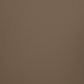 Jídelní židle, ekokůže cappucino, světlé šití / chrom,ABIRA NEW