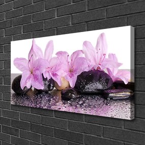 Obraz na plátně Květiny Kameny Zen Lázně 120x60 cm
