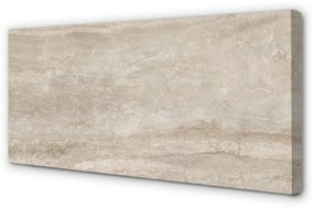 Obrazy na plátně Marble kámen beton 100x50 cm