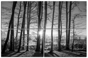 Obraz na plátně - Podzimní ráno v lese 1251QE (120x80 cm)