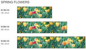 DIMEX | Fototapeta do kuchyně Tulipány KI-260-122 | 260 x 60 cm | zelená, červená, žlutá