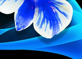Malvis ® Vícedílný obraz - Orchidej na vlnách Velikost: 120x80 cm