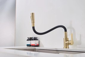 Gamma Flex 4000, stojánková dřezová baterie s flexibilním ramenem, 2-funkční výtok, černá-zlatá matná, GMA-BFX-4000BGD