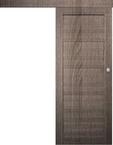 posuvné interiérové dveře na stěnu vasco doors SANTIAGO plné, model 1 Průchozí rozměr: 70 x 197 cm, Orientace dveří: Levé dveře, Dekor: Dub šedý