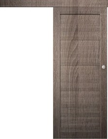 posuvné interiérové dveře na stěnu vasco doors SANTIAGO plné, model 1 Průchozí rozměr: 70 x 197 cm, Orientace dveří: Levé dveře, Dekor: Dub Aljaška