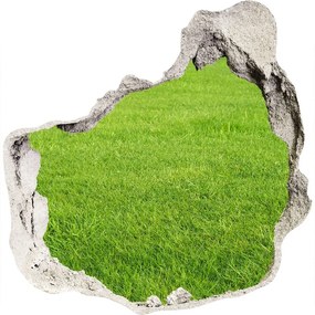 Wallmuralia Díra 3D ve zdi nálepka Zelená tráva 75x75 cm