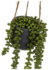 Umělá rostlina (výška 37 cm) Senecio – Casa Selección