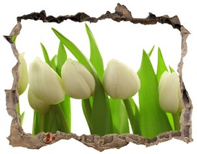 Wallmuralia Samolepící nálepka na zeď Bílé tulipány 95x64 cm