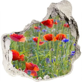 Wallmuralia Samolepící díra na stěnu Polní květiny 75x75 cm