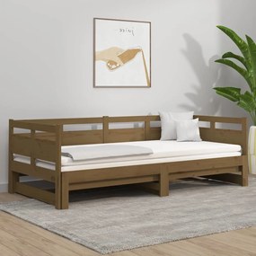 vidaXL Výsuvná postel masivní borovice 2x (80 x 200) cm [820319] Barva: medová hnědá