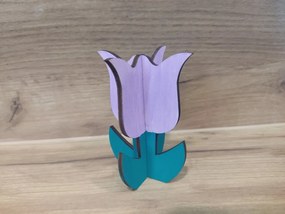 Tulipán malý Fialová