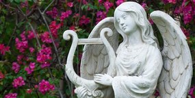 Obraz anděl hrající na harfu Varianta: 100x50