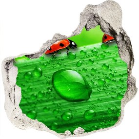 Wallmuralia Díra 3D fototapeta Berušky na trávě 75x75 cm