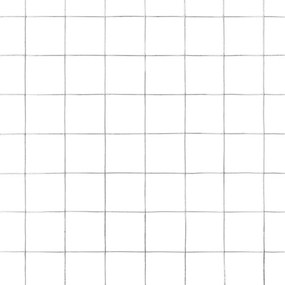 Pletivo ke kurníku pozinkovaná ocel 10 x 0,5 m stříbrné 143609