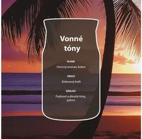 Yankee Candle Black Coconut Signature Malý