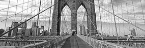 Fototapeta na zeď Brooklyn Gray M-466 | 330x110cm