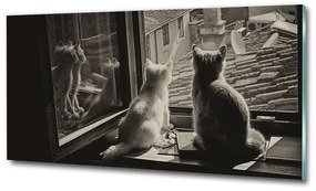 Wallmuralia Fotoobraz na skle Kočky při okně 100x50
