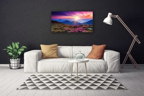 Obraz na plátně Hora Louka Květiny Krajina 125x50 cm