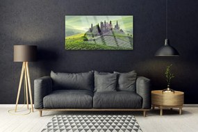 akrylový obraz Louka Stromy Příroda 100x50 cm