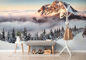 Fototapeta Rozsutec ve sněhové peřině - 225x150 cm