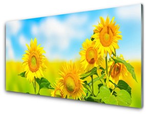 Obraz na skle Slunečnice Květiny Příroda 125x50 cm