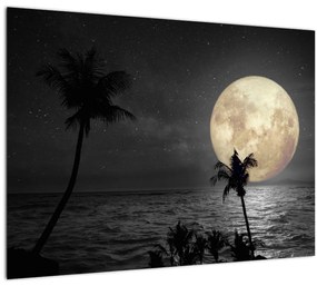 Obraz - Pláž za úplňku v šedých tónech (70x50 cm)