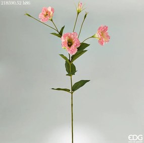 Růžový Lisianthus - Eustoma EDG H86