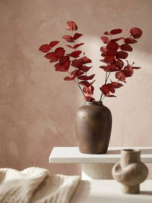 Sinsay - Dekorativní rostlina – eukalyptus - červená