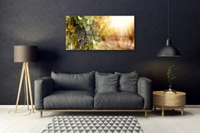 akrylový obraz Hrozny Listy Kuchyně 100x50 cm
