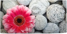 Sablio Ručník Gerbera na kamenech - 70x140 cm