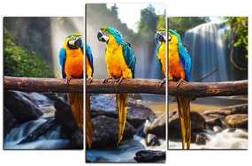 Obraz na plátně - Modro žluté Macaw 1232C (105x70 cm)