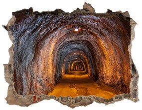 Wallmuralia Fototapeta díra na zeď 3D Podzemní tunel 95x64 cm