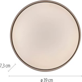 Schöner Wohnen 14594-39 - LED Stm. stropní svítidlo TAVOLI LED/20W/230V šedá+DO