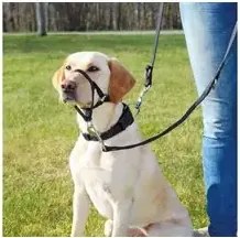 TRIXIE 13002 TOP TRAINER výcviková ohlávka S 22cm