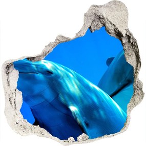 Wallmuralia Díra 3D fototapeta nástěnná Dva delfíni 75x75 cm