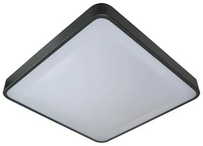 BOWI | LED Stropní svítidlo WILTON LED/24W/230V antracit | BW0102