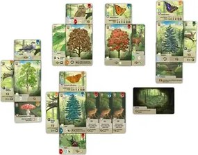 Asmodee Smíšený les / Počet hráčů: 2-5 / od 10 let